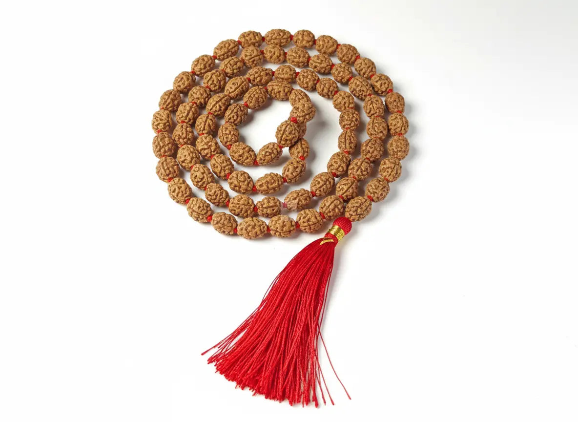 2 Mukhi Rudraksha Mala | Authentic. X-ray verified. Lab Certified – Rudra Kailash